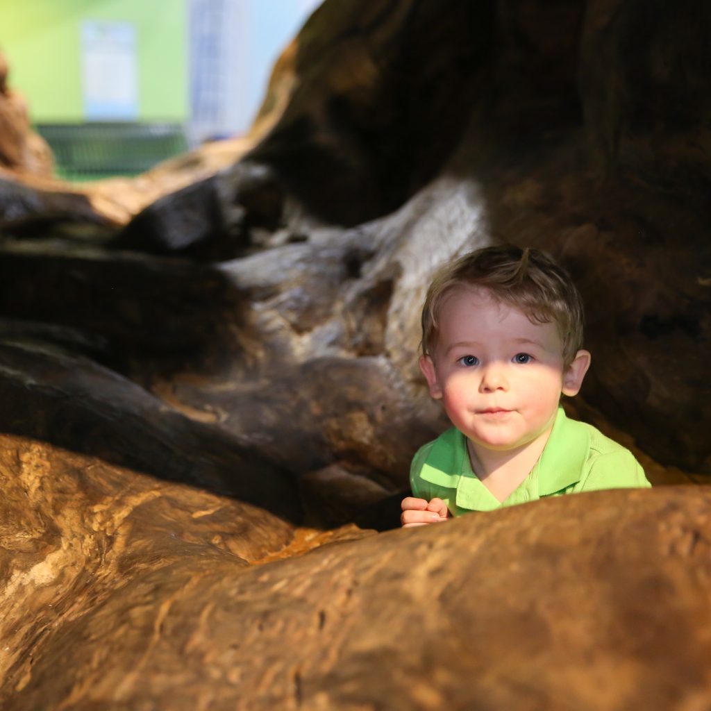 Home - Delaware Childrens Museum